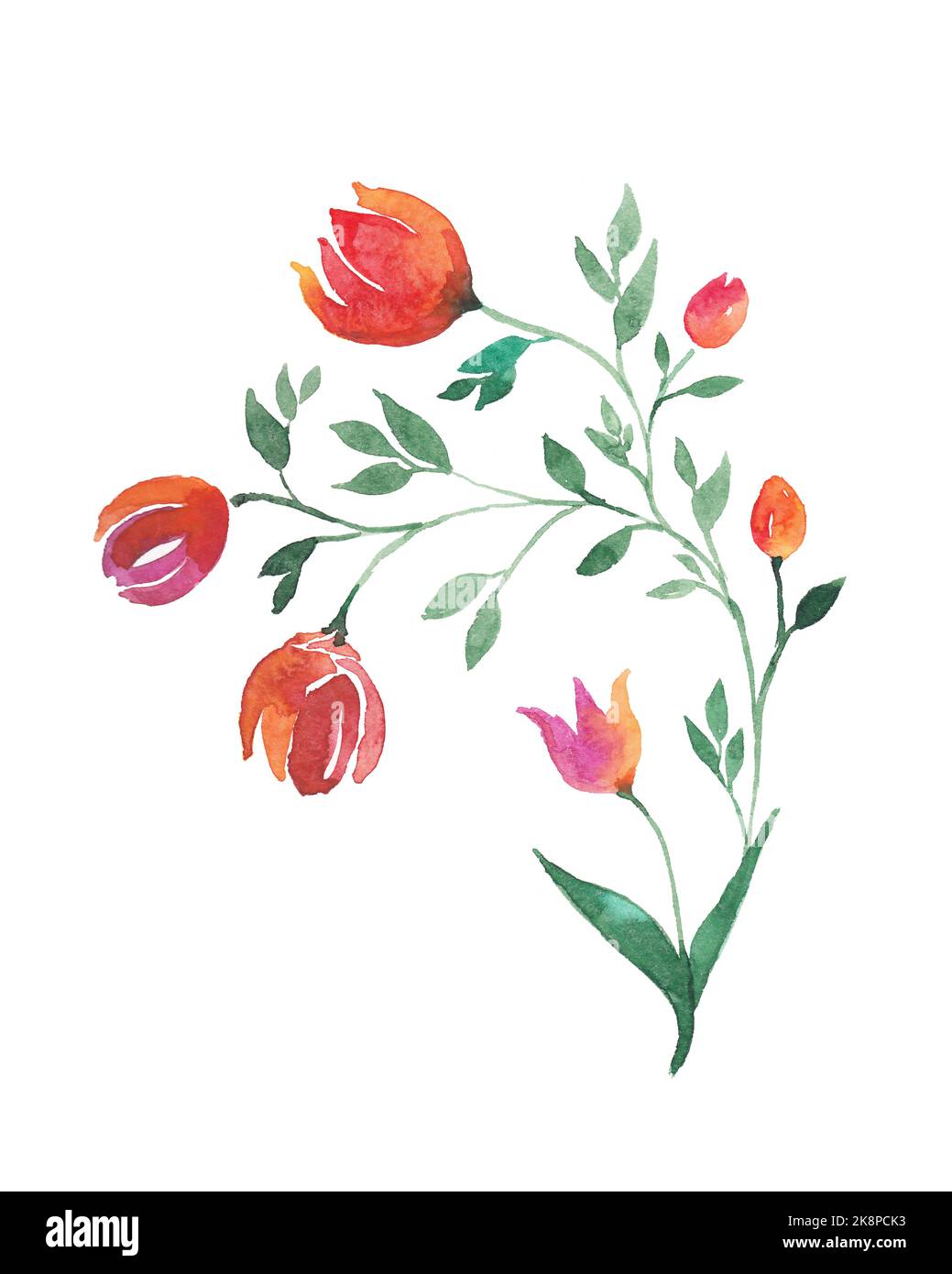 Aquarelle floral illustration hand painted. Watercolor red flowers ...