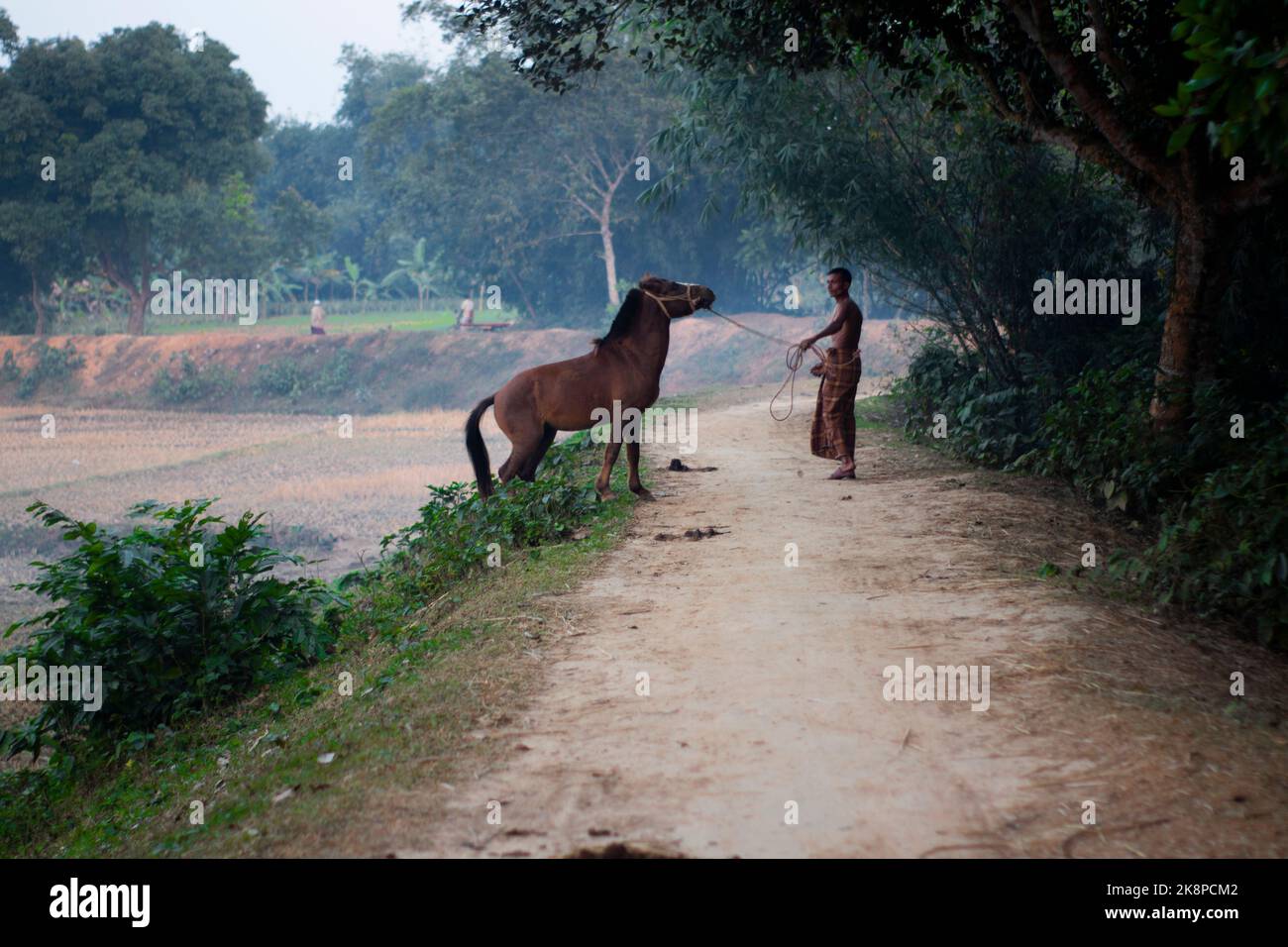 Bangladesh tangail village hi-res stock photography and images - Alamy