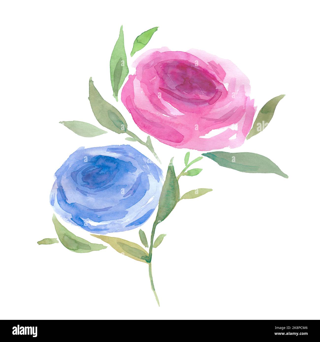 Watercolor roses hand painted. Pink and blue roses with green leaves on ...