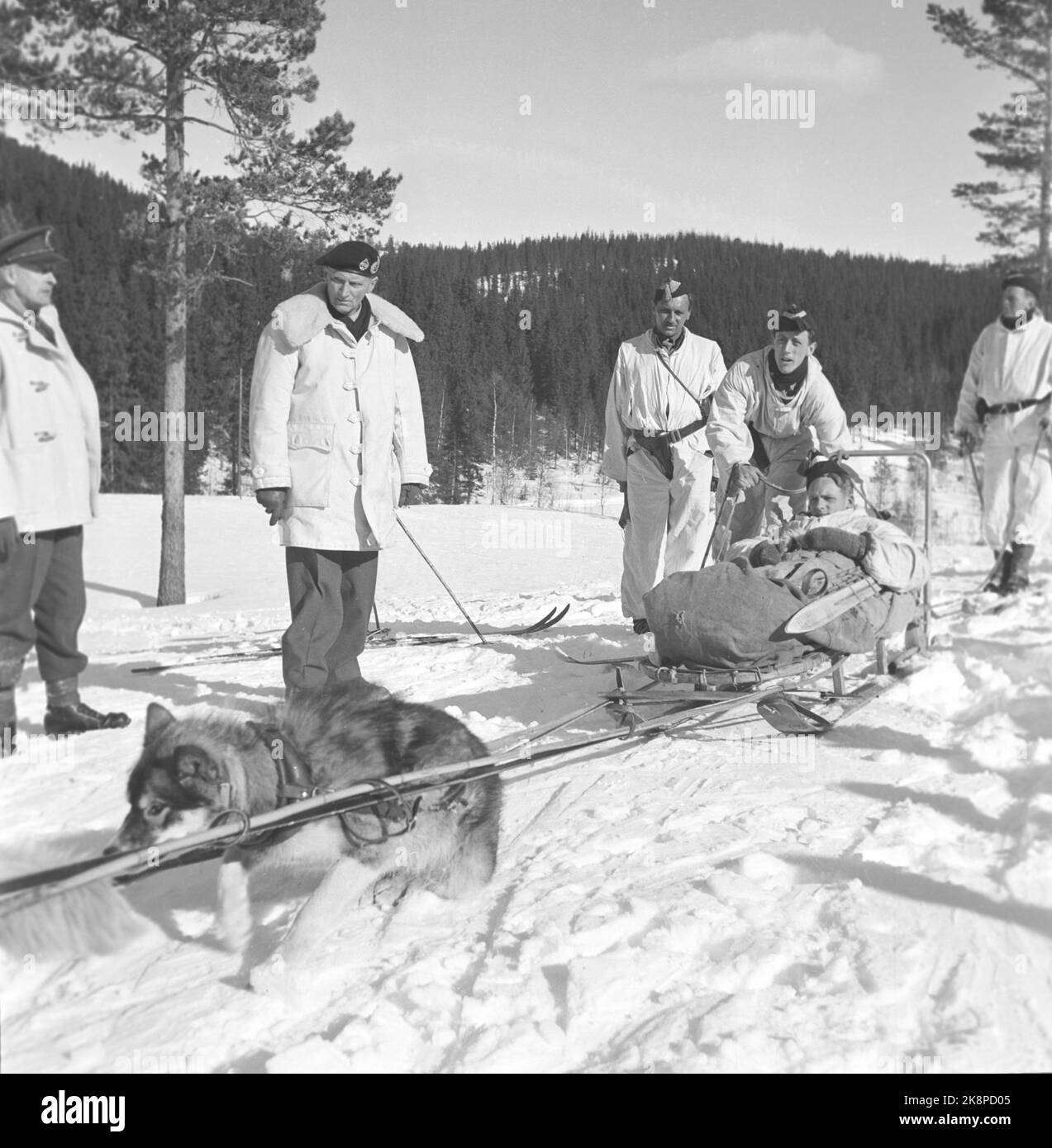 Ringerike 19500314. General Bernard Law Montgomery, who is commander ...