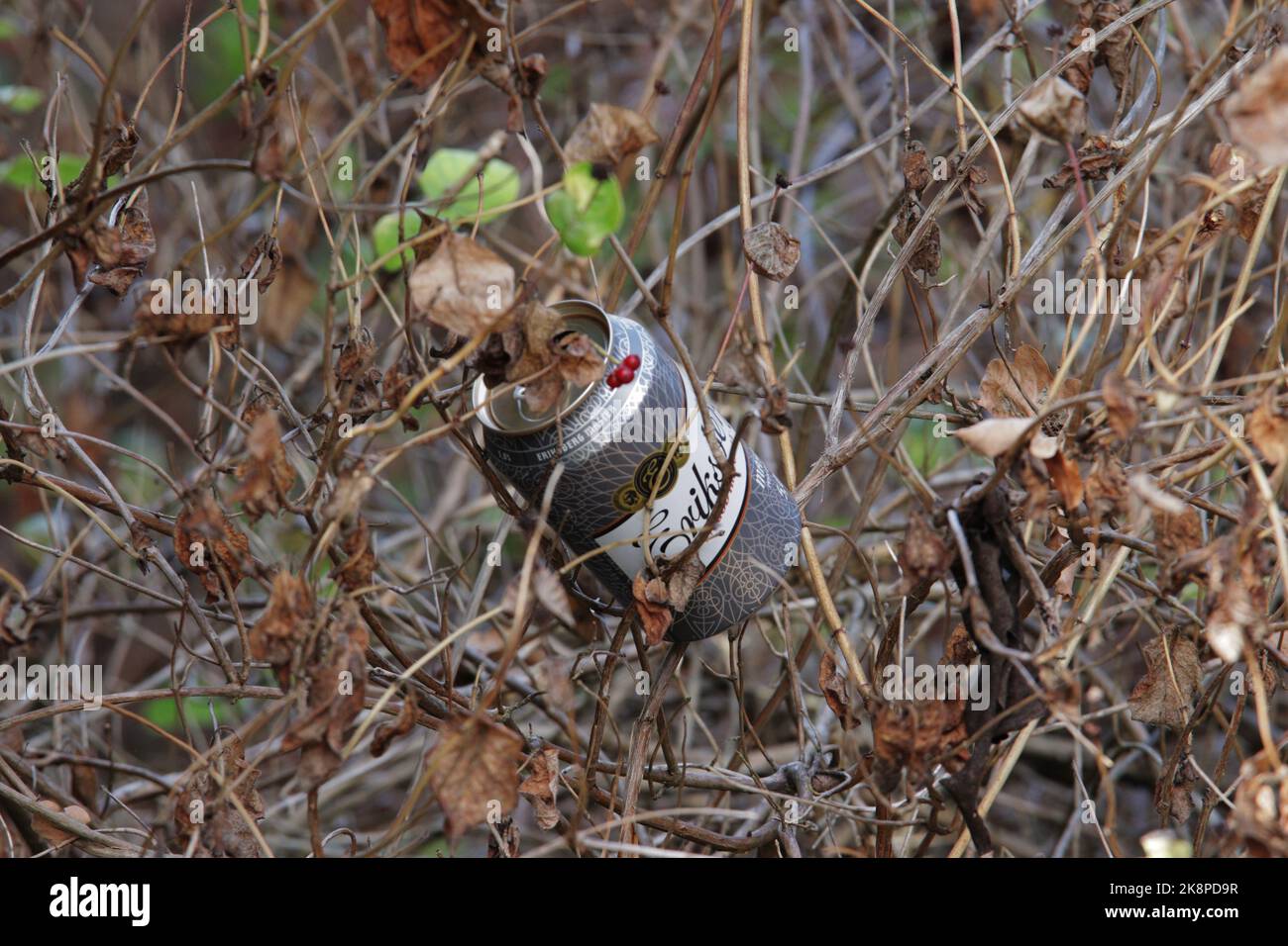 Object thrown hi-res stock photography and images - Alamy