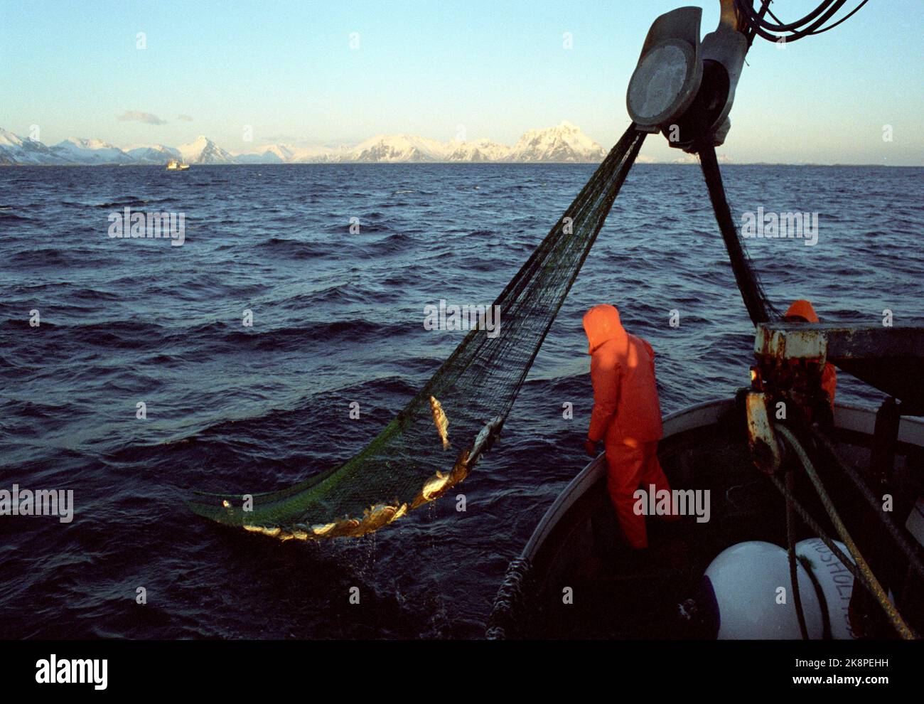 Lofoten february 1991 lofot fishing screi chives hi-res stock ...