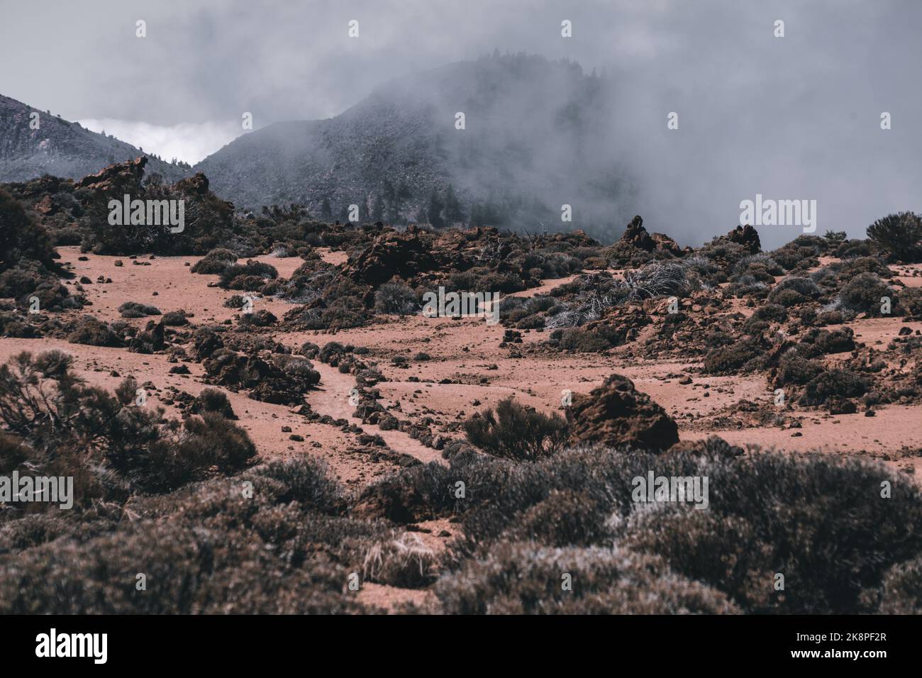 Terrain after fire in hi-res stock photography and images - Alamy