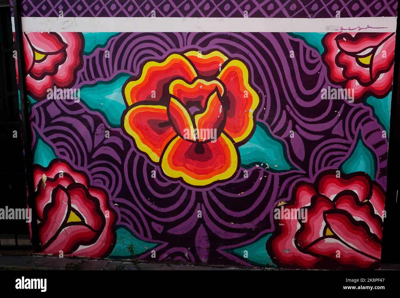 Murals, Oaxaca de Juárez City, Oaxaca, Mexico Stock Photo - Alamy