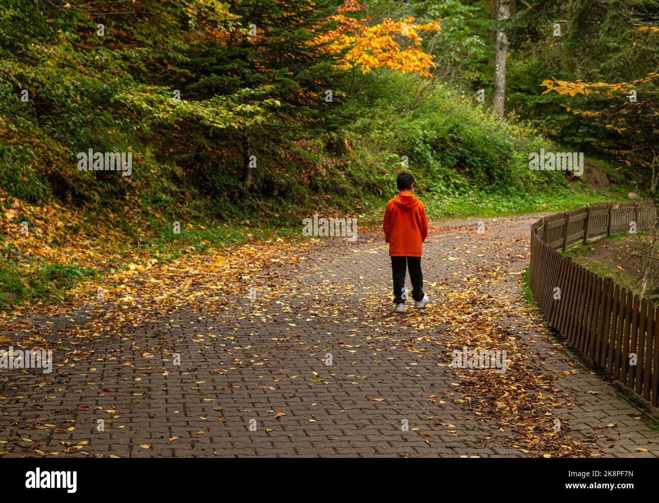 Bolu Golcuk Nature Park is an area frequently used by local and foreign ...