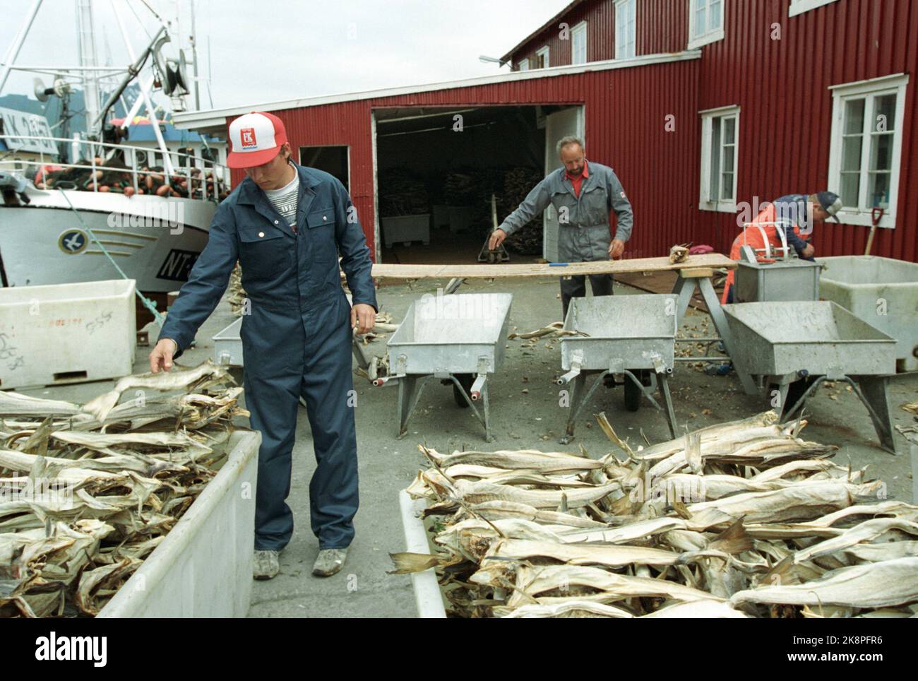 19930701 hi-res stock photography and images - Alamy