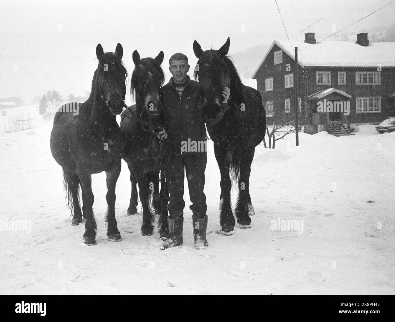 Hadeland march 4 hi-res stock photography and images - Alamy