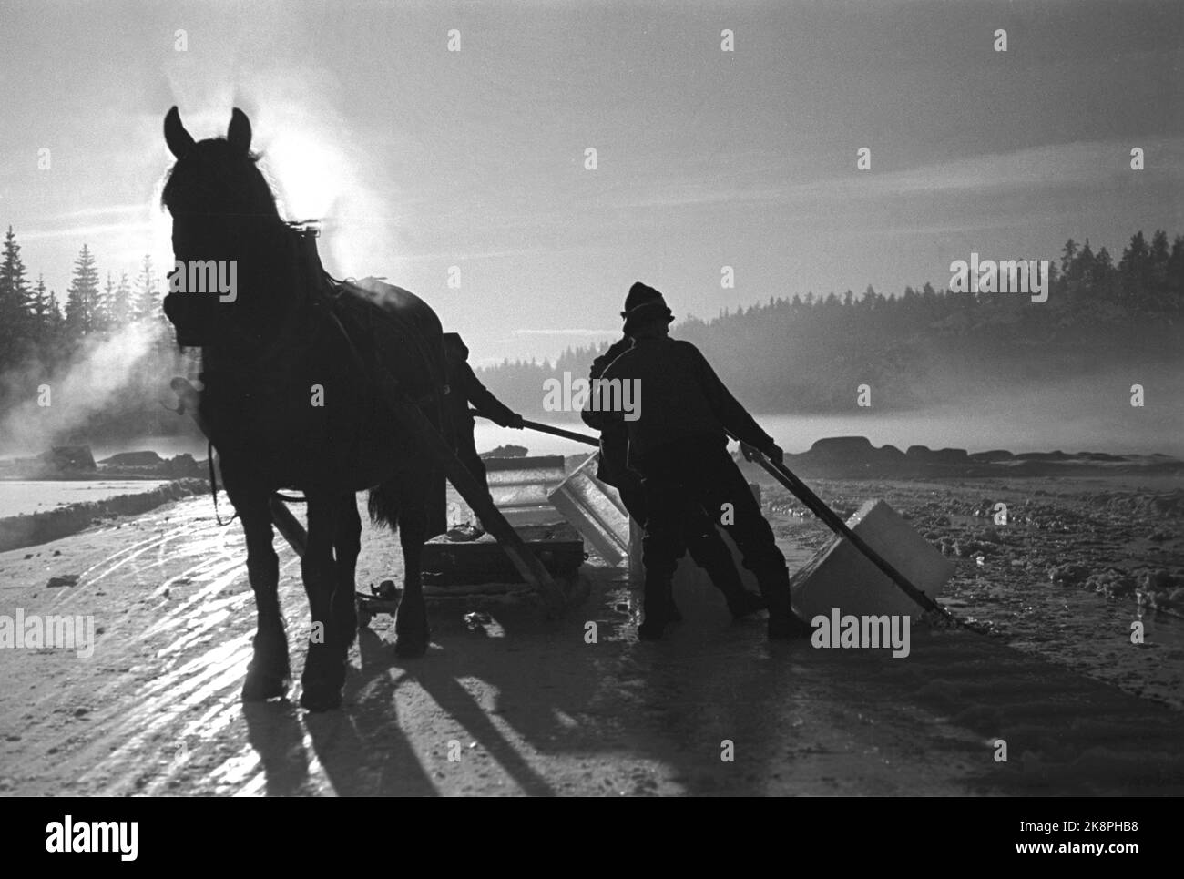 Lierdalen 194602. Ice cutting in Lierdalen. Here we see the ice being ...