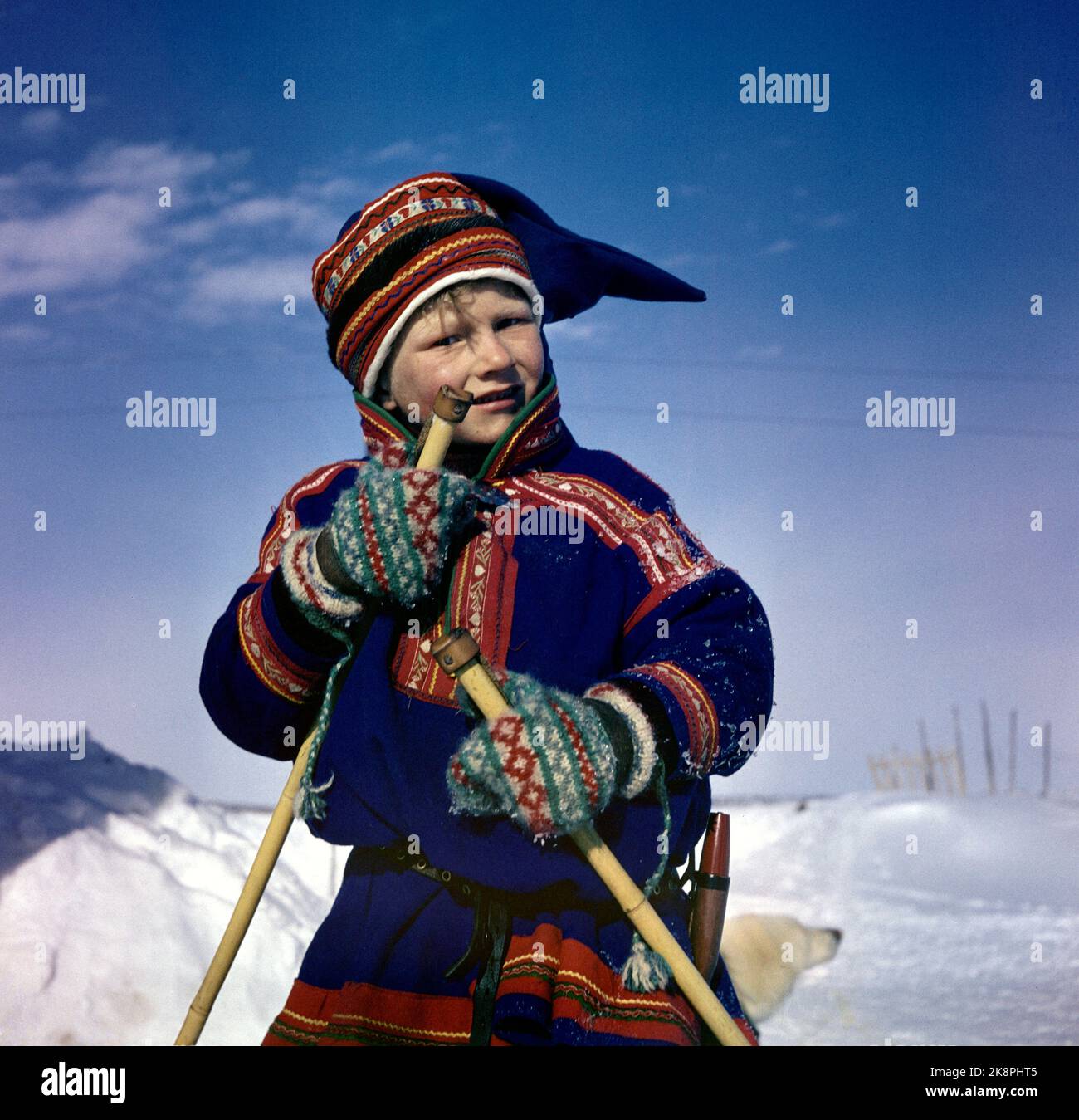 Finnmarksvidda 1962 Little boy in Sami costume and with ski poles ...