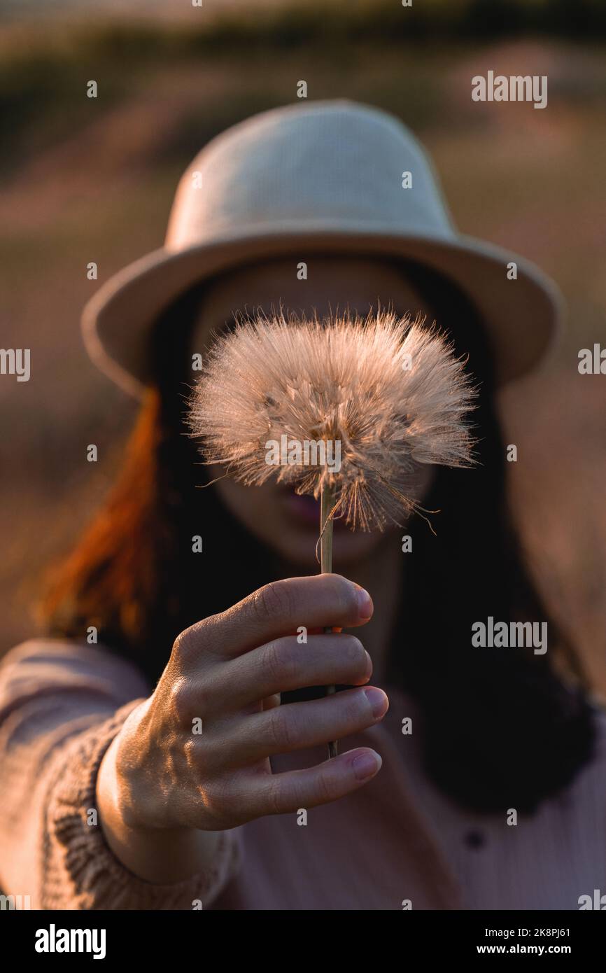 a closeup of a girl with a hat covering her face with fluffy dandelions ...
