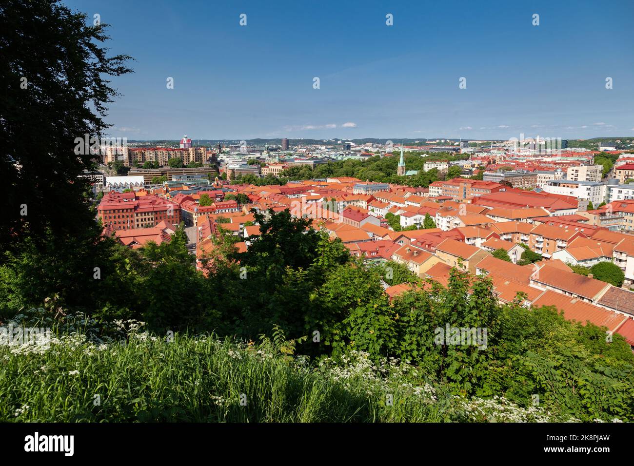 An aerial view of the historic skyline of buildings in downtown ...