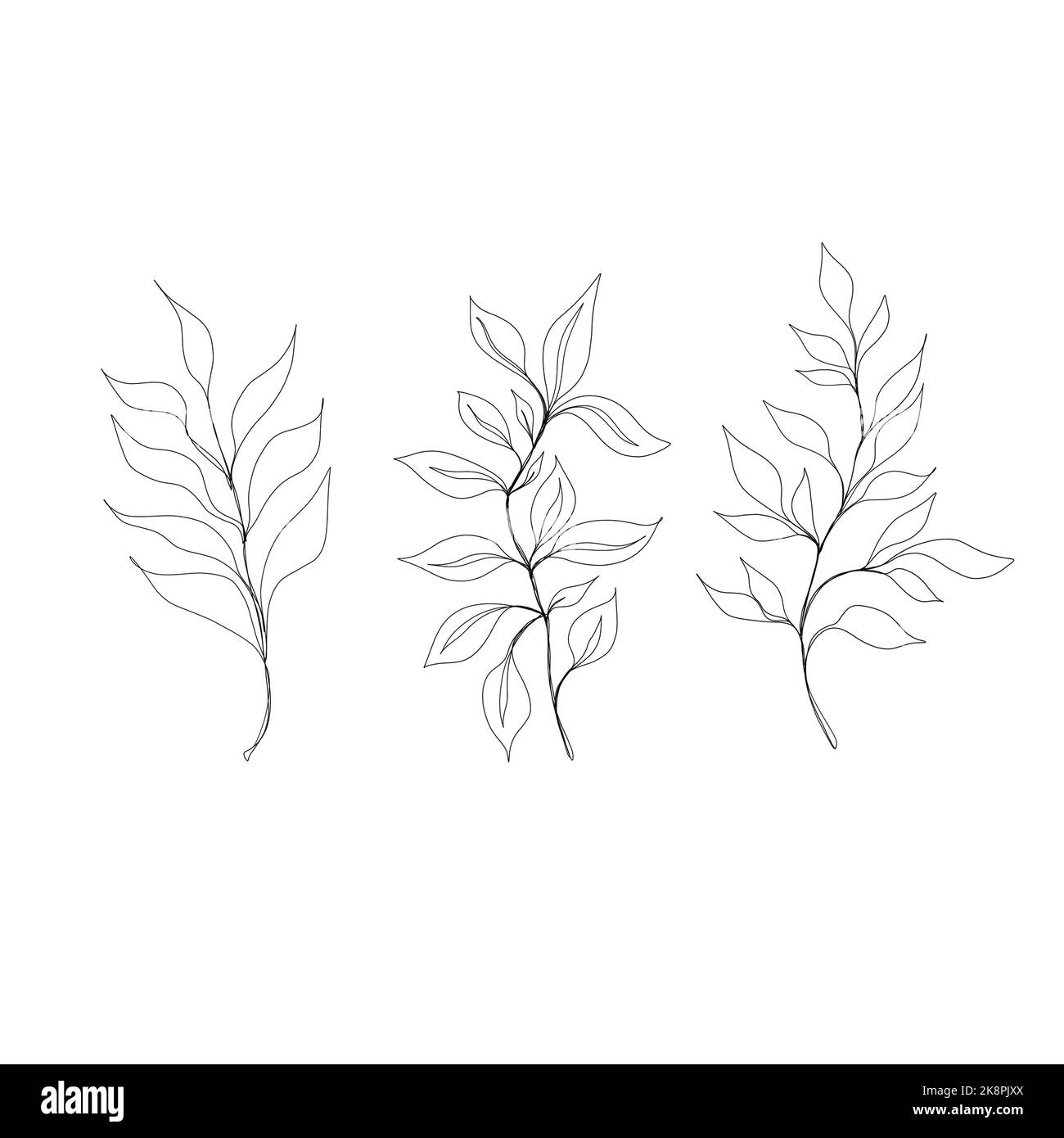 leaf pant line art. Minimalistic line drawing. leaf line art. Botanical ...