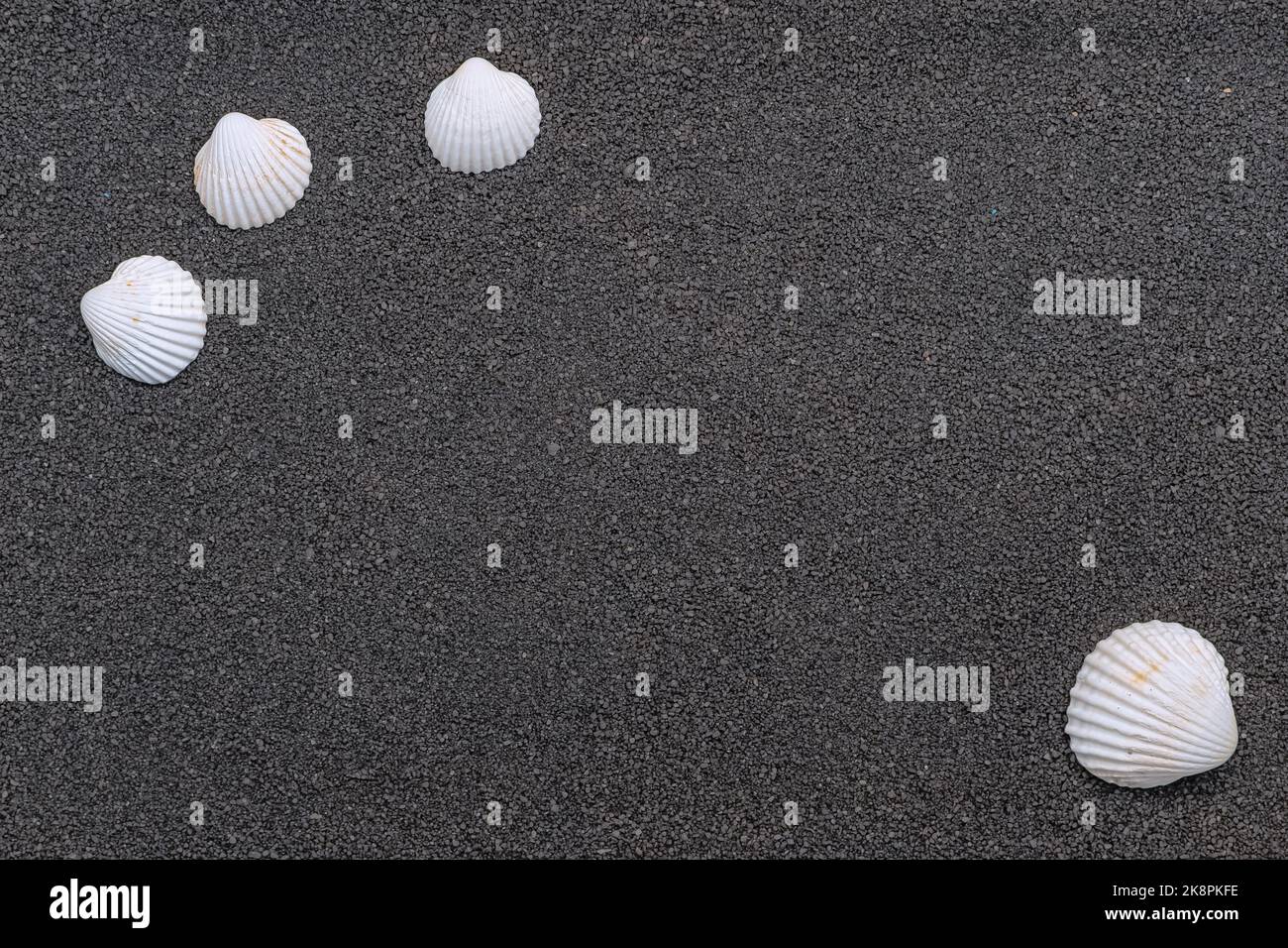 Underwater shells ocean sand hi-res stock photography and images - Alamy