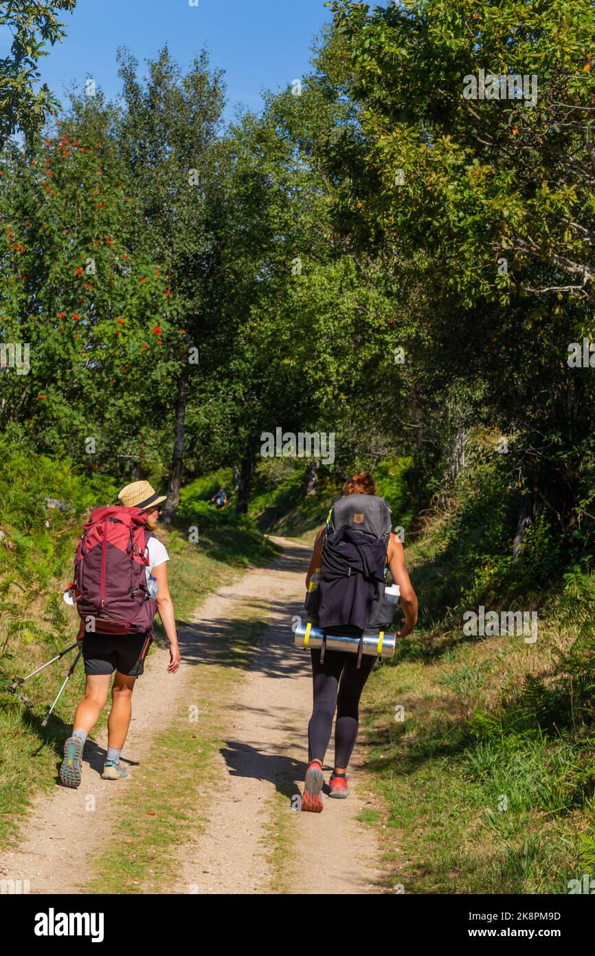 Navarre, Spain, 26 August, 2022: Pilgrims walk along the Camino De ...