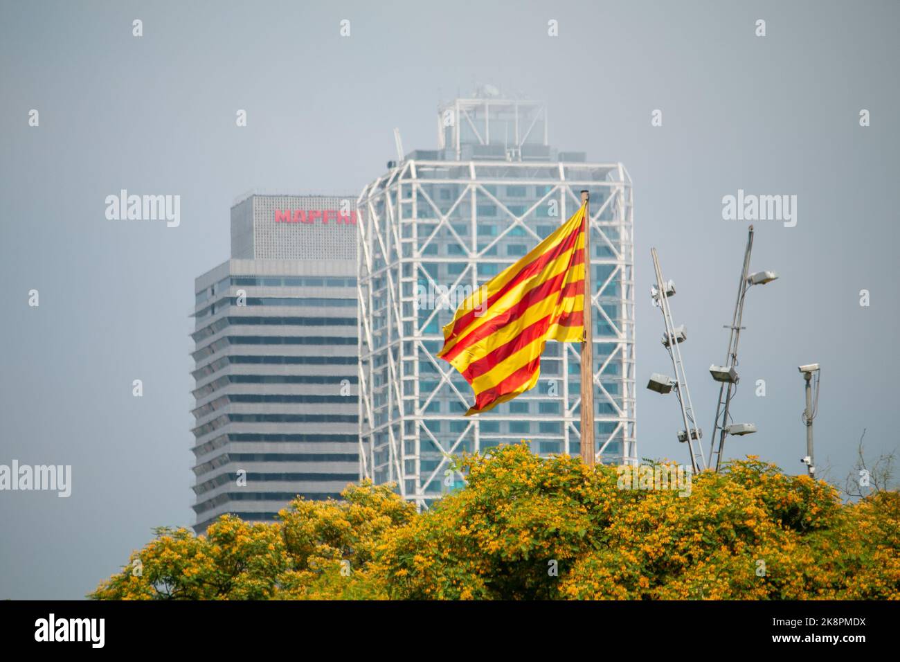 The Catalonia flag waving in the wind in front of office buildings ...