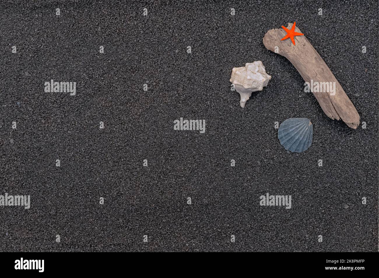 Shells on a black sand background with open space Stock Photo - Alamy