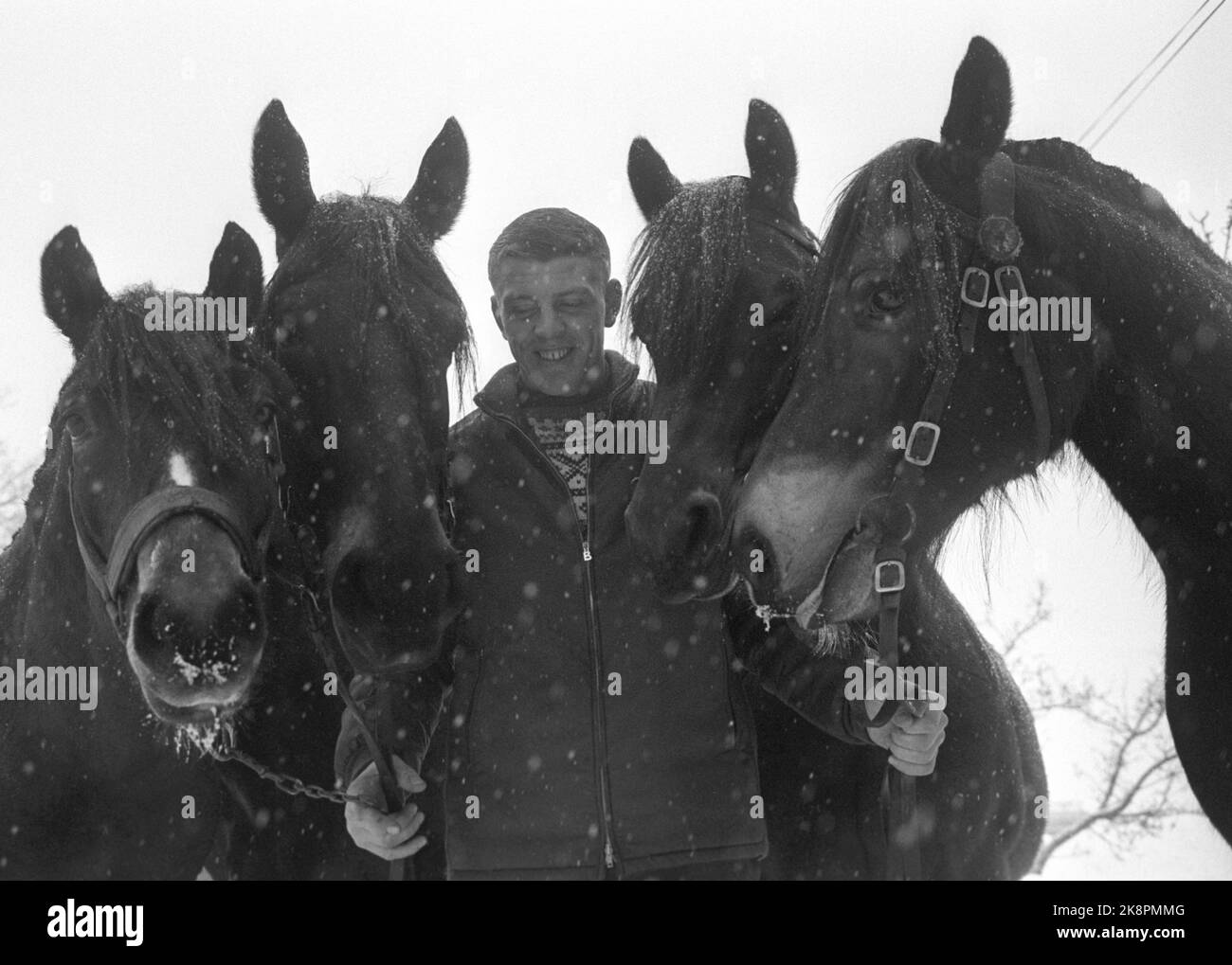Hadeland march 4 hi-res stock photography and images - Alamy