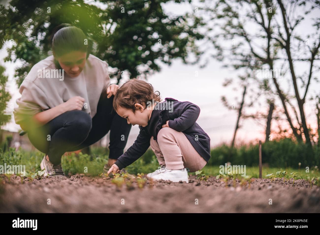 A brunette female doing tree plantation with her little girl Stock ...