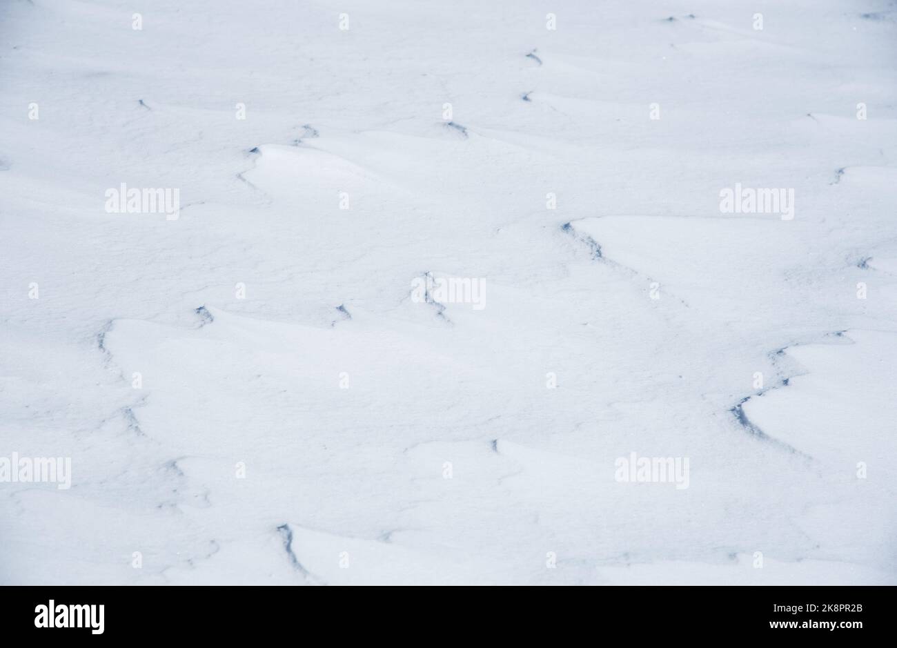 White background abstract .Nature snow winter textures and patterns ...