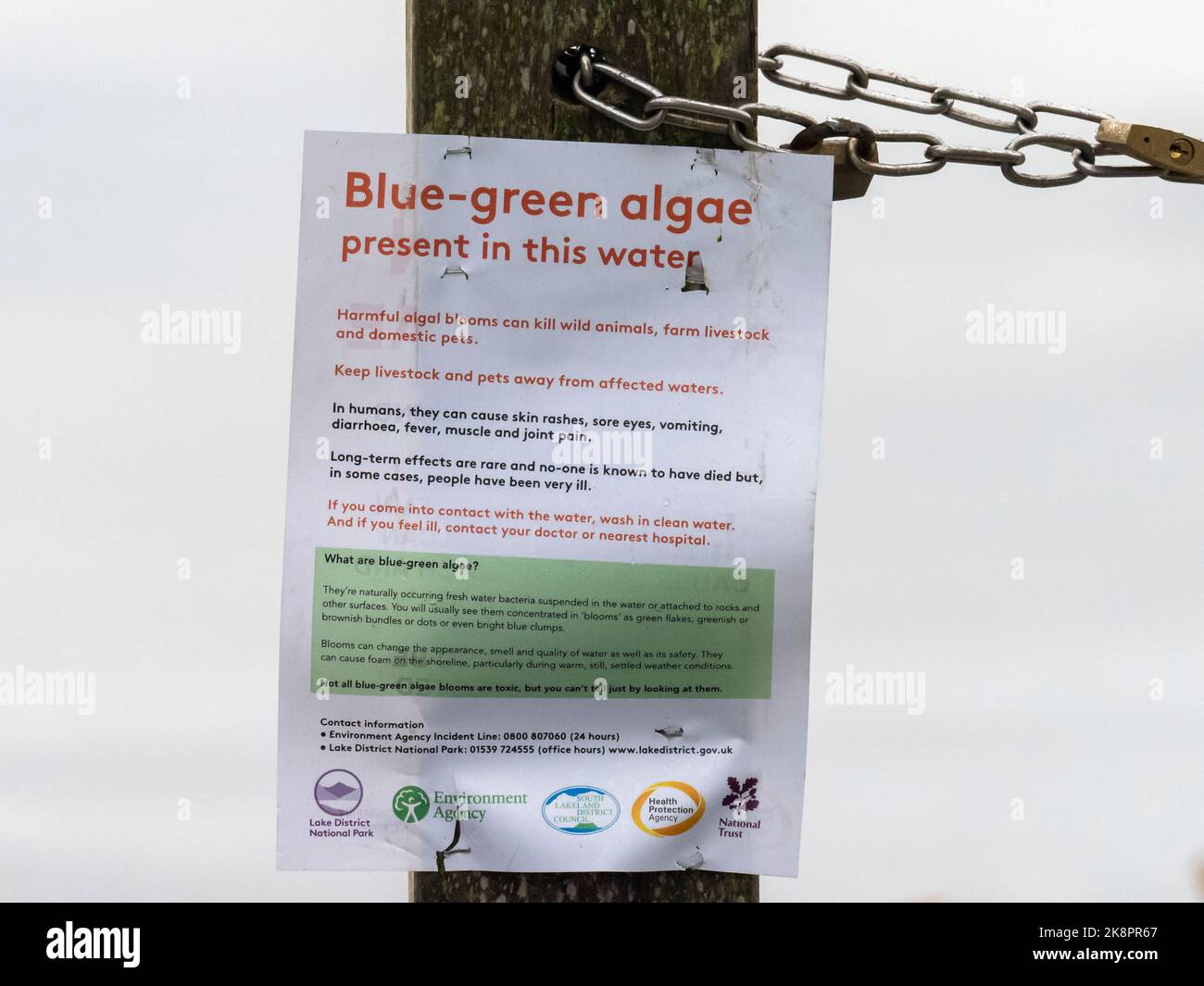 A warning poster about blue green algae in Lake Windermere, Ambleside ...