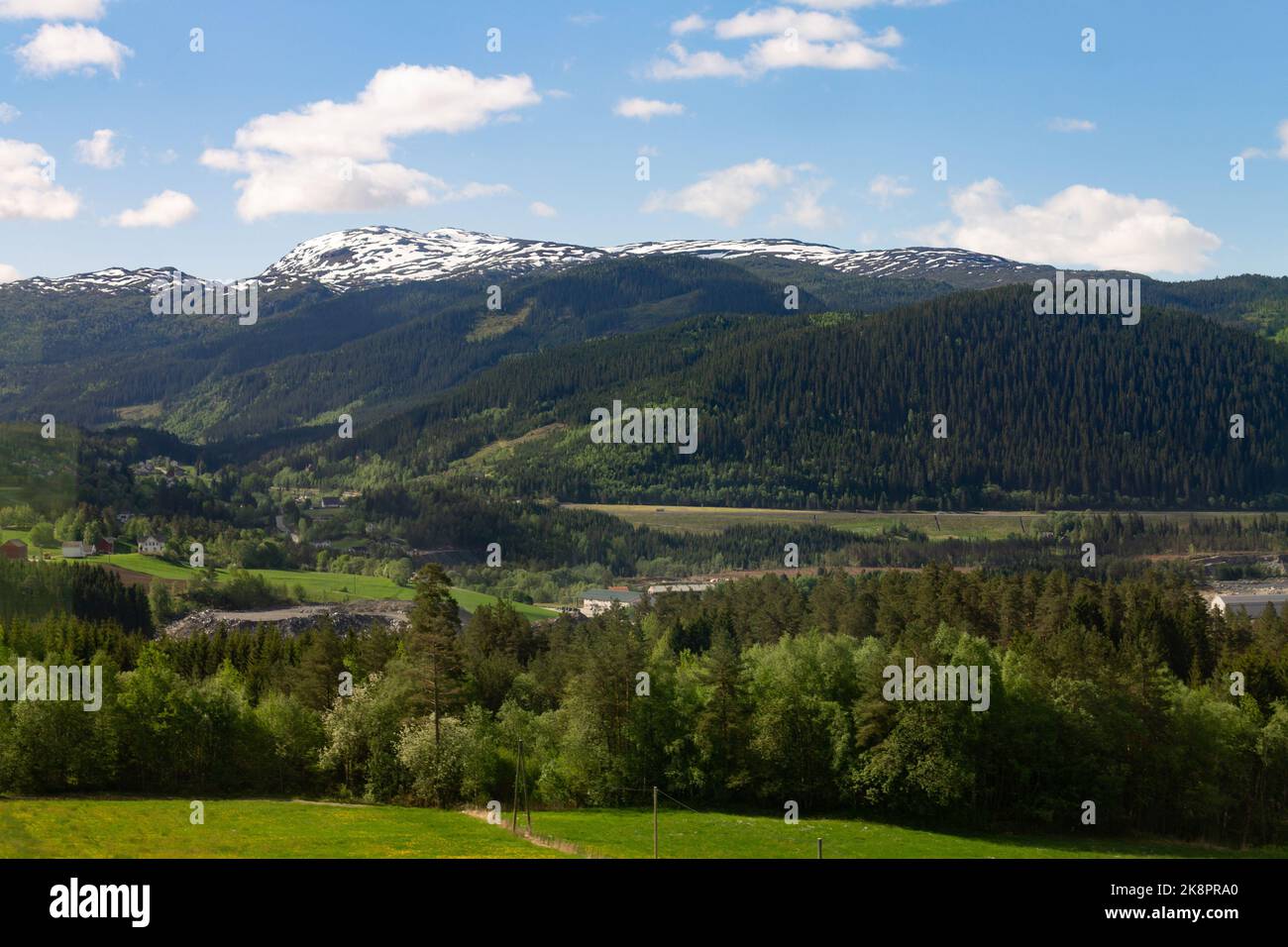 A scenic view of green mountain forests in Vigeland park, Oslo, Norway ...