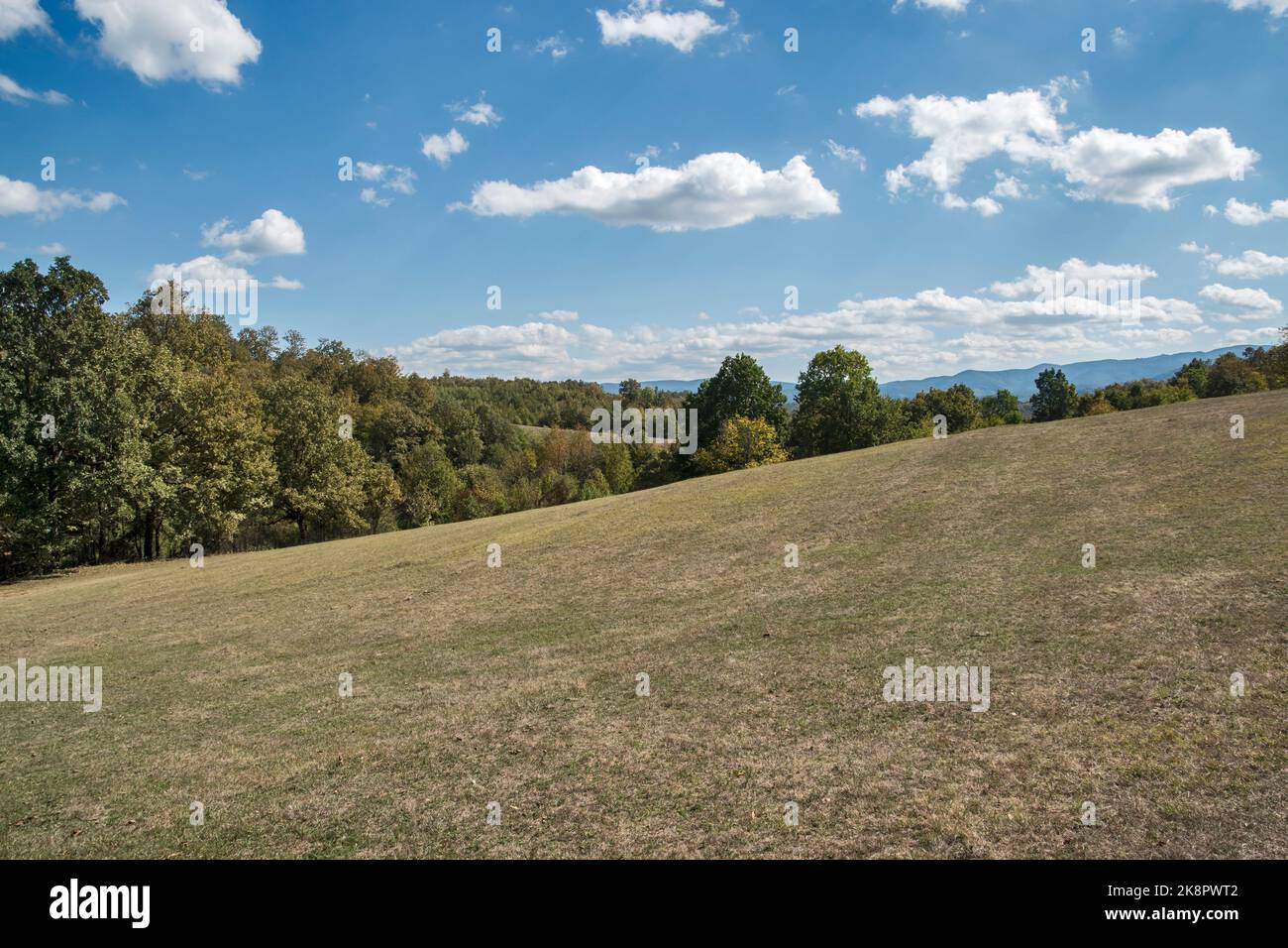 Mountain meadow landscape in clear sunny summer day Stock Photo - Alamy
