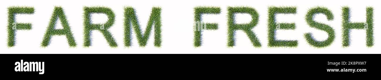 Concept conceptual green lawn grass forming FARM FRESH text isolated on ...