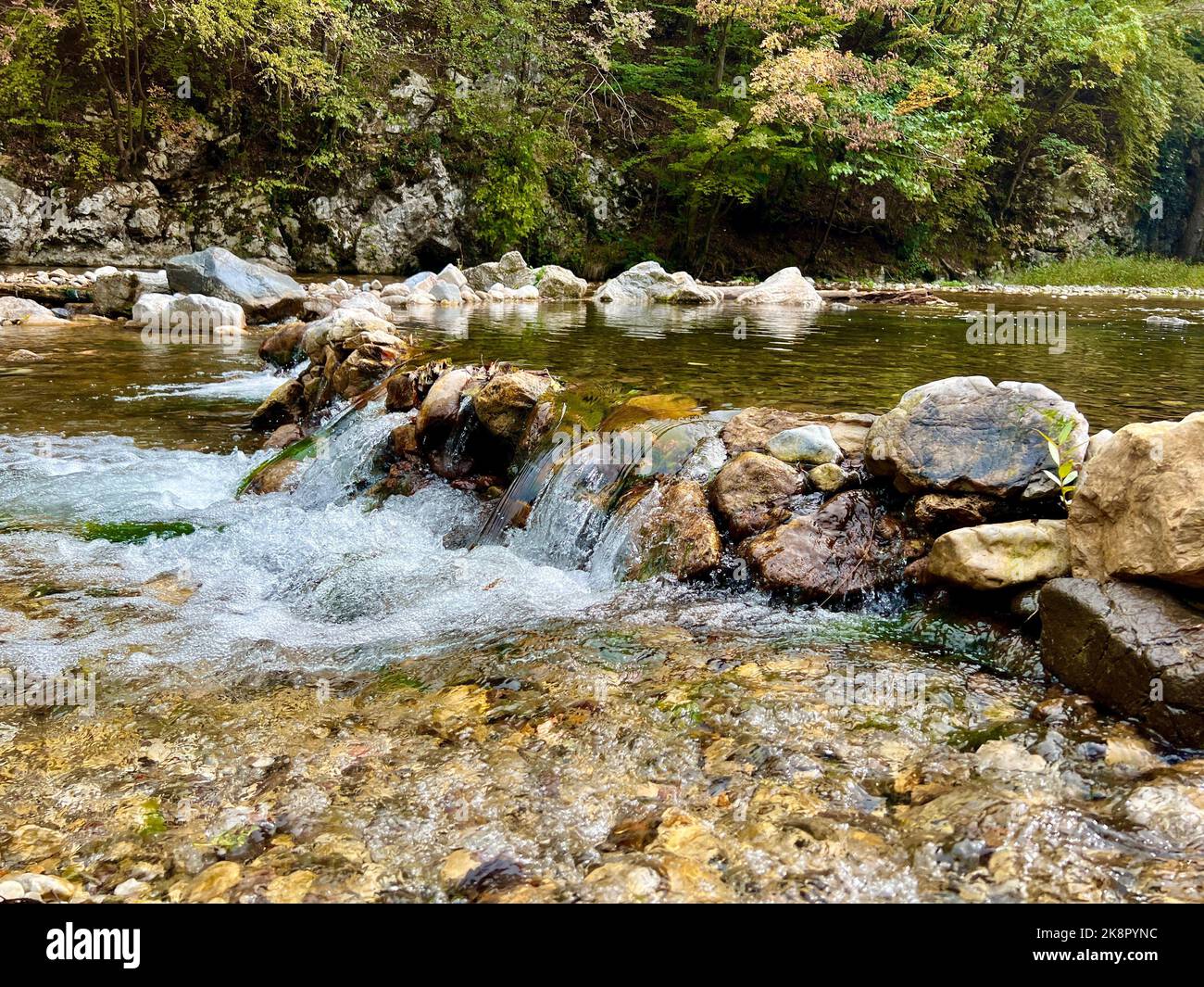 A streaming rocky river in the autumn forest Stock Photo - Alamy