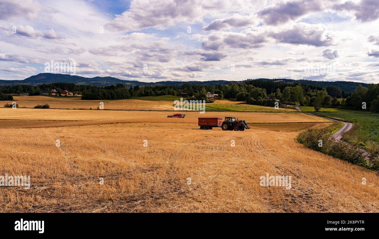 A rural landscape with a beautiful field at Toten, Norway Stock Photo ...
