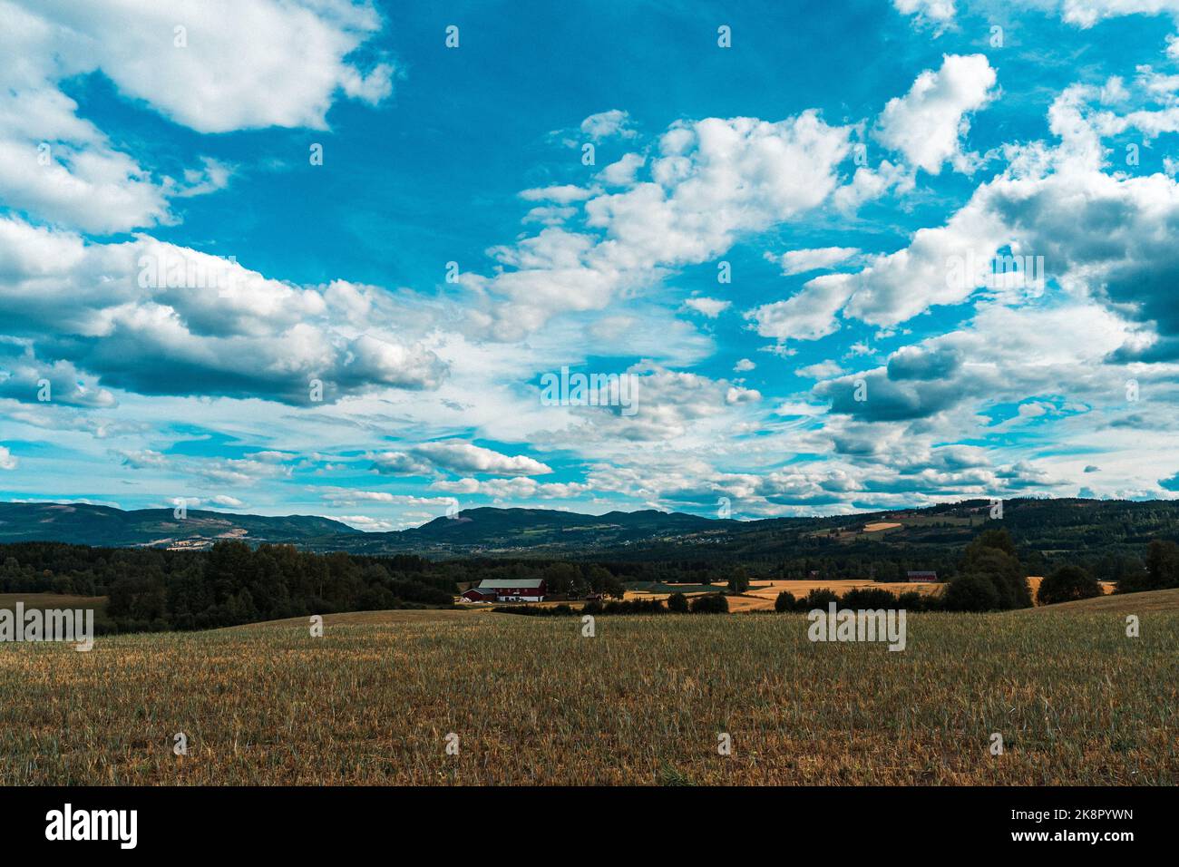 A rural landscape with a beautiful field at Toten, Norway Stock Photo ...