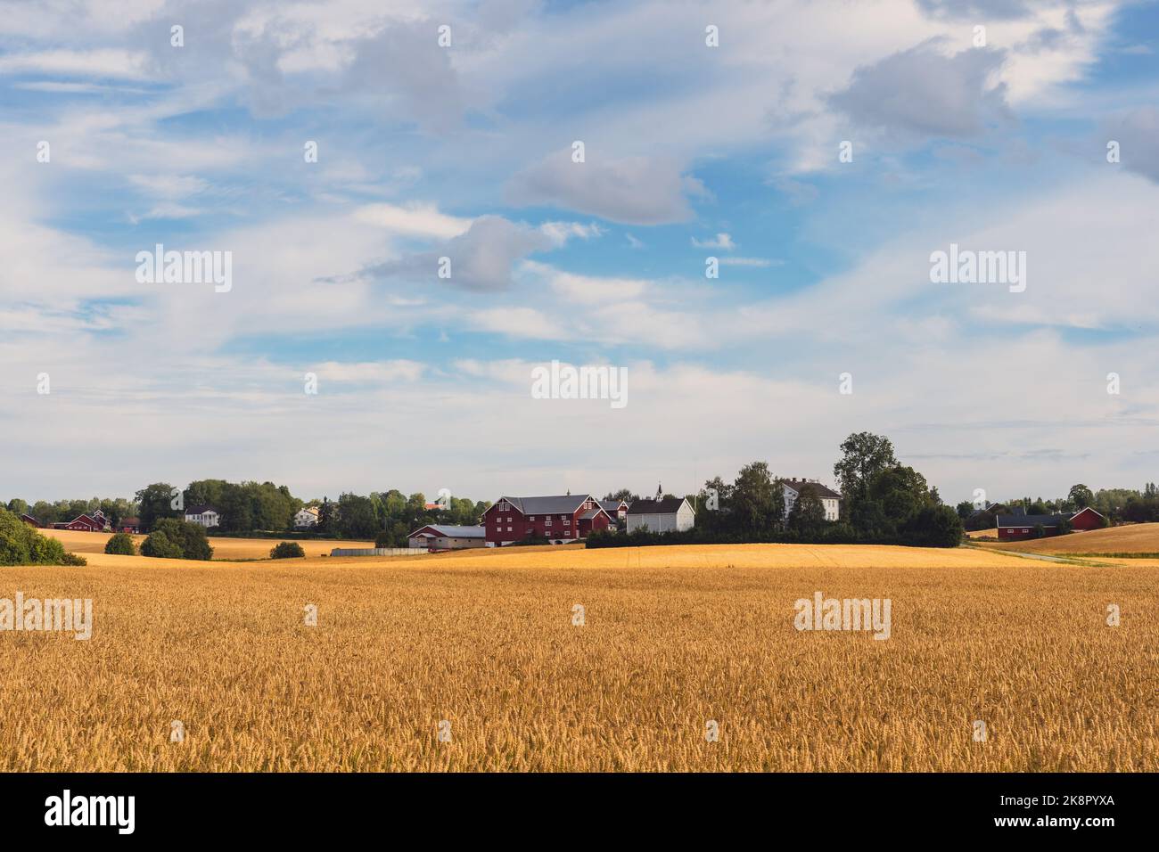 A rural landscape with a beautiful field at Toten, Norway Stock Photo ...