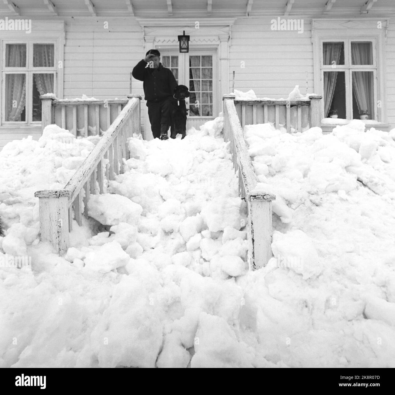 Gulled hi-res stock photography and images - Alamy