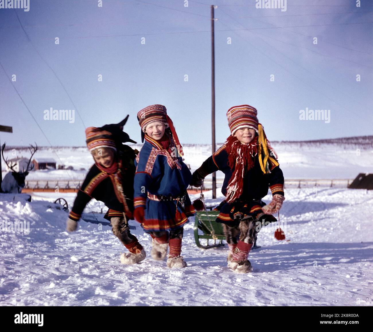 Finnmarksvidda 1962 Sami children in Sami costumes play with a sled on ...