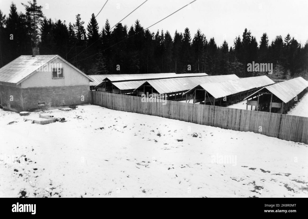 The diet must be correct the lining is fairly expensive hi-res stock ...