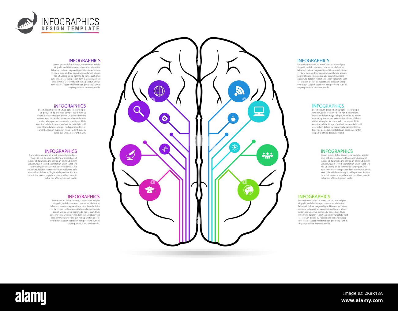 Brain infographic concept. Line style with icons. Vector illustration ...