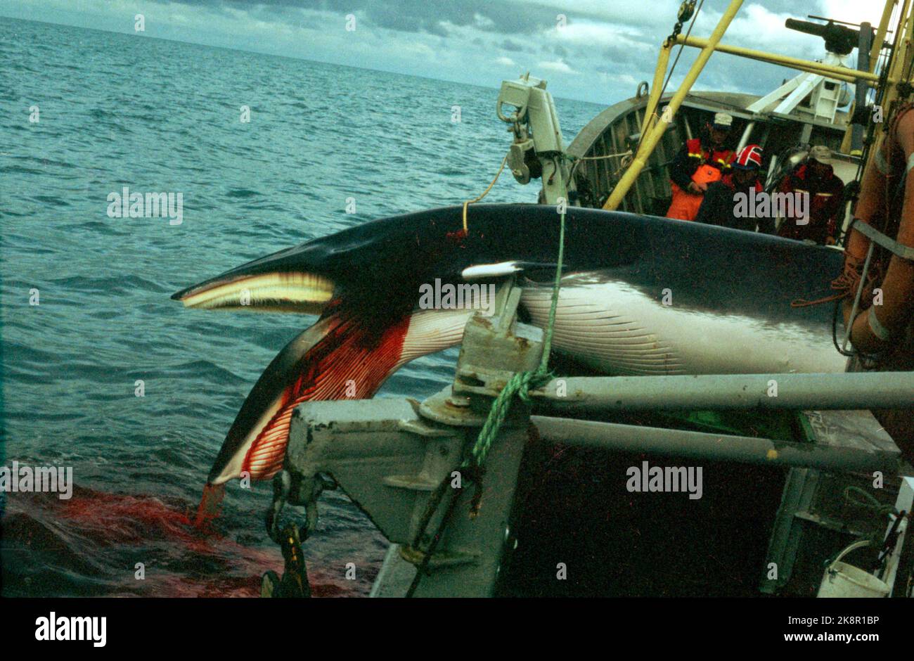 Ntb whaling hi-res stock photography and images - Alamy