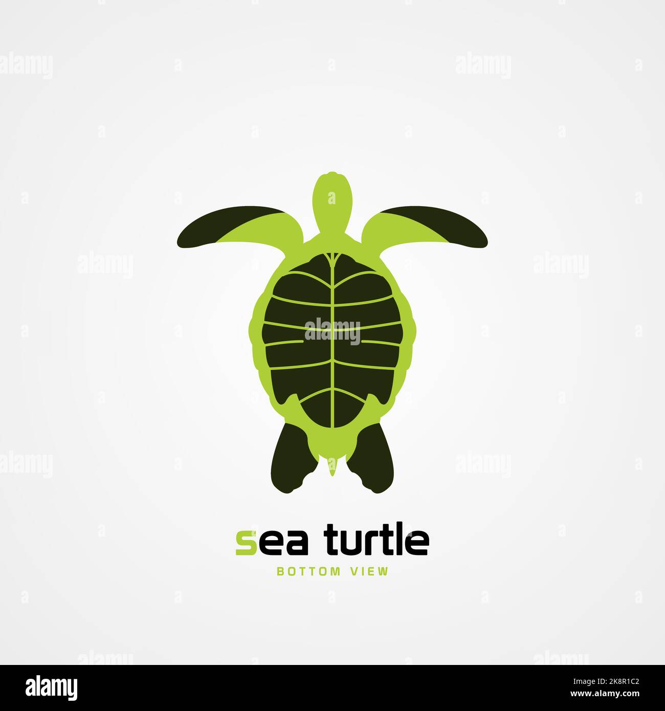 Green sea turtle. Bottom view. Modern symbol. Vector illustration Stock ...