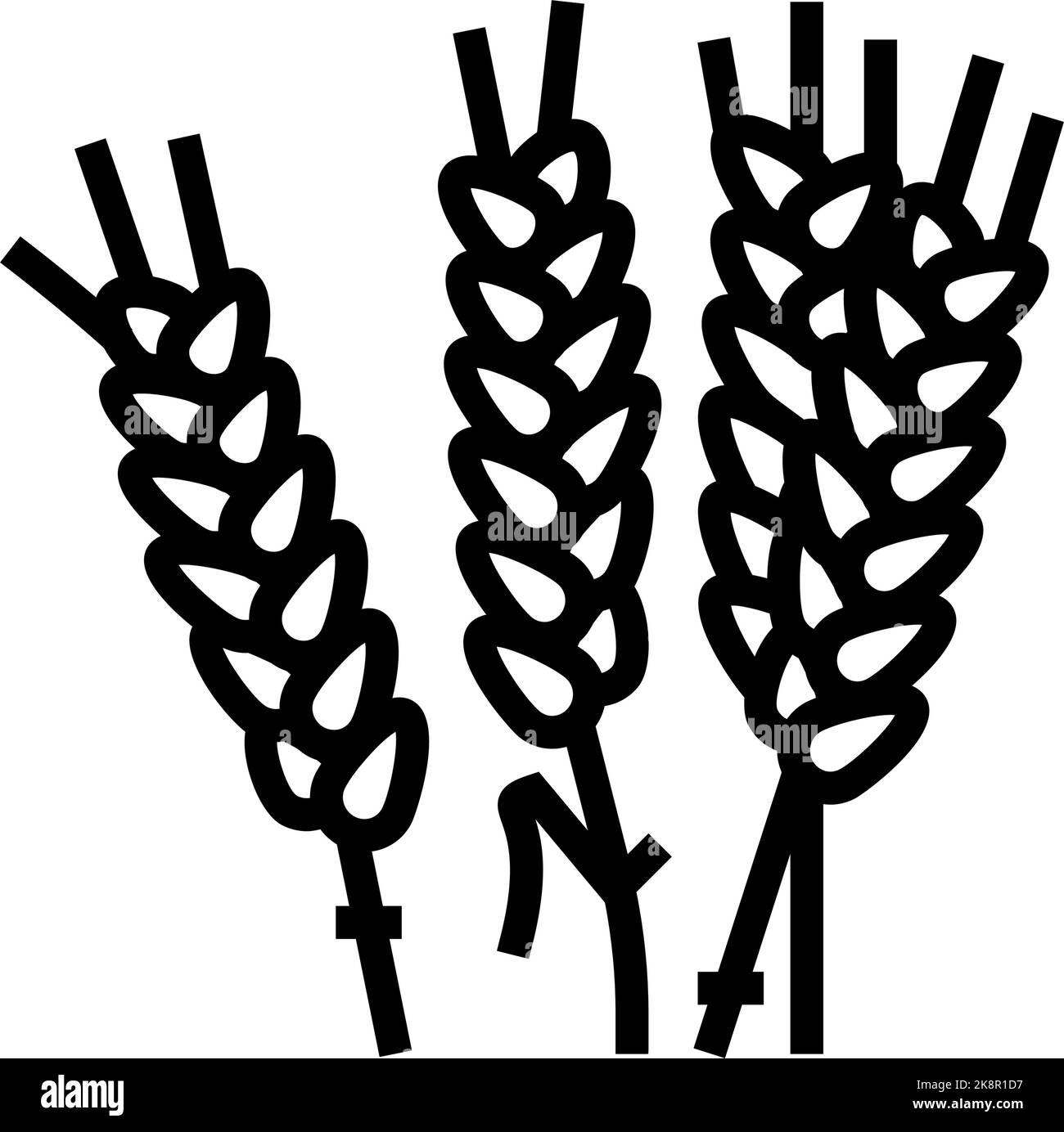 ear barley line icon vector illustration Stock Vector Image & Art - Alamy ear barley line icon vector illustration Stock Vector Image & Art - Alamy