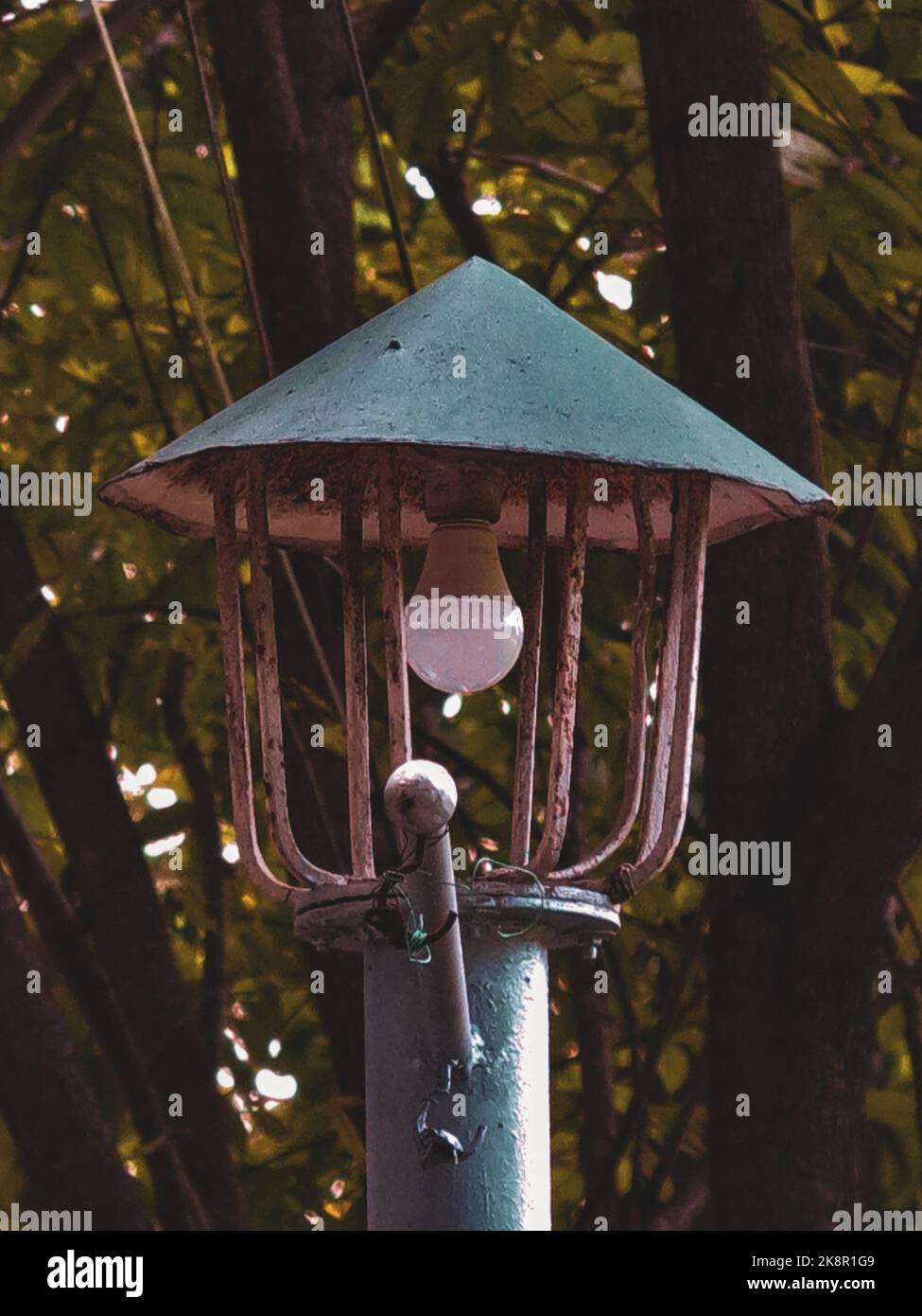 A vertical shot of an old street lantern in a park in the Philippine ...