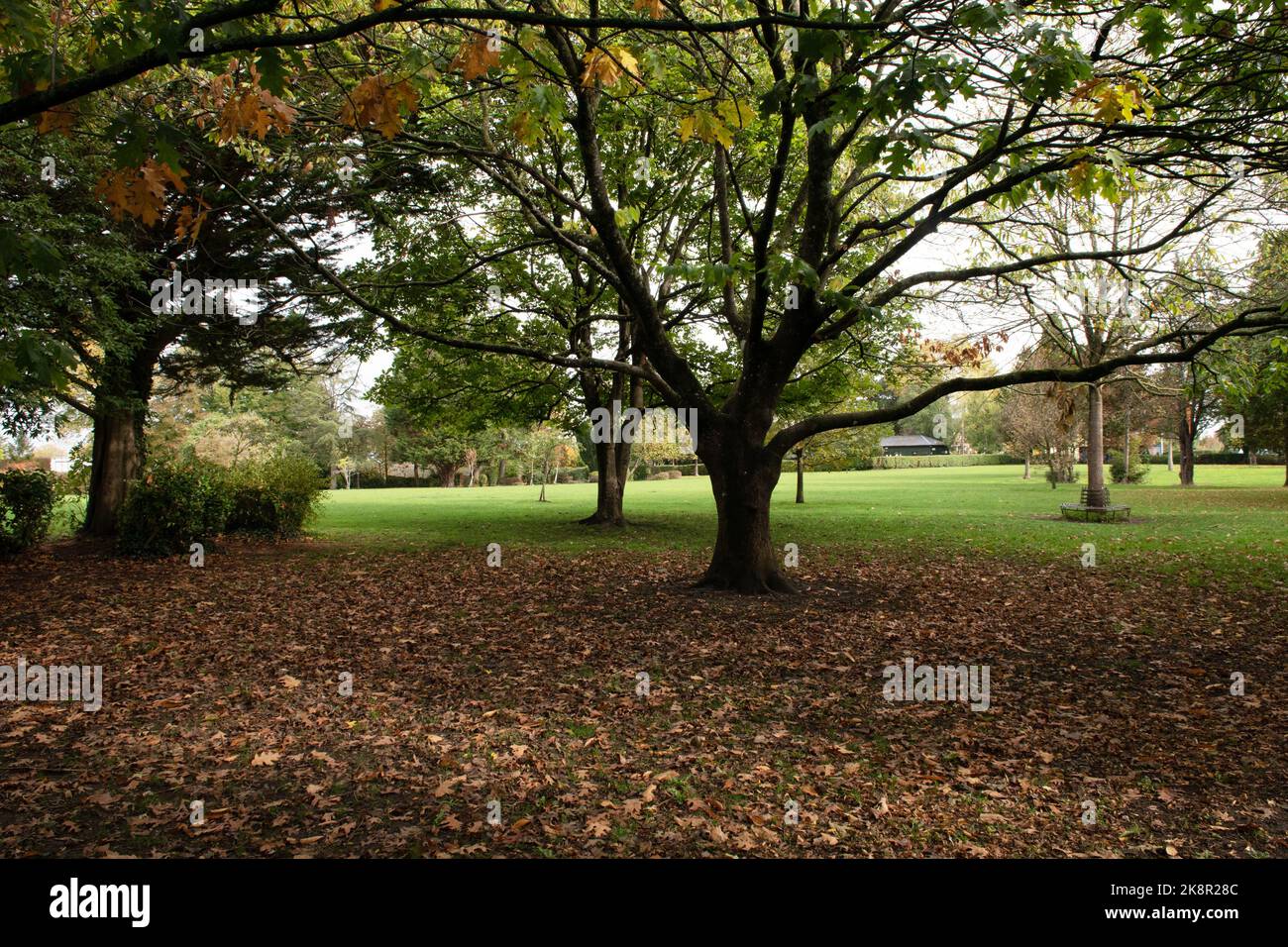 Autumn in Victoria Park, Frome, Somerset, England, UK Stock Photo - Alamy