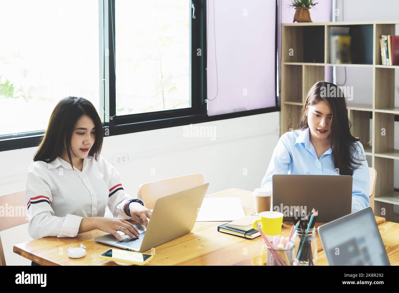 freelance concept, a group of female employees using computers to ...