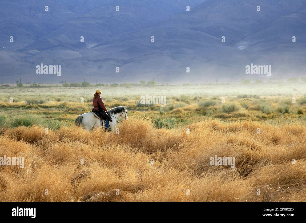 Plein air california hi-res stock photography and images - Alamy