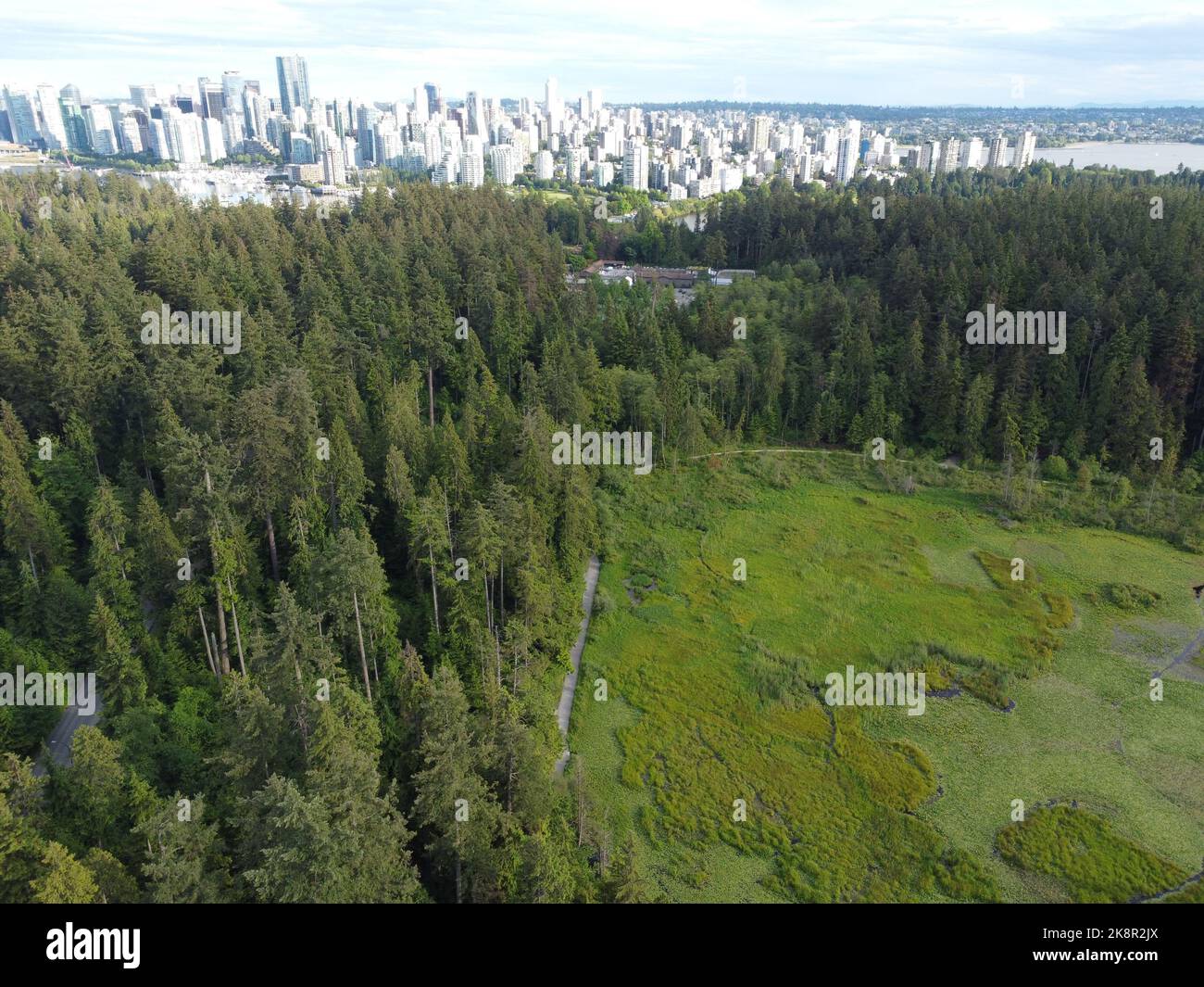 A bird's-eye view of dense forest with the background of the Vancouver ...