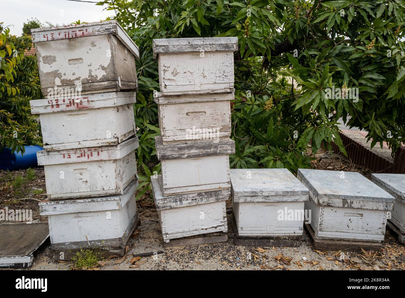 The beekeeping hive boxes in the garden Stock Photo - Alamy