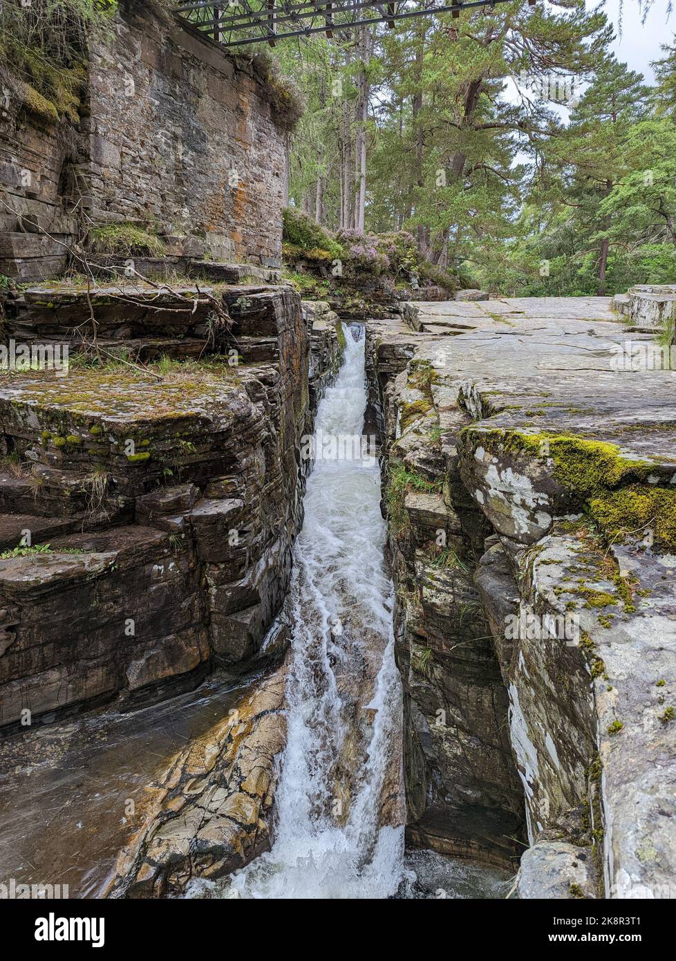 Water falling between trees hi-res stock photography and images - Alamy