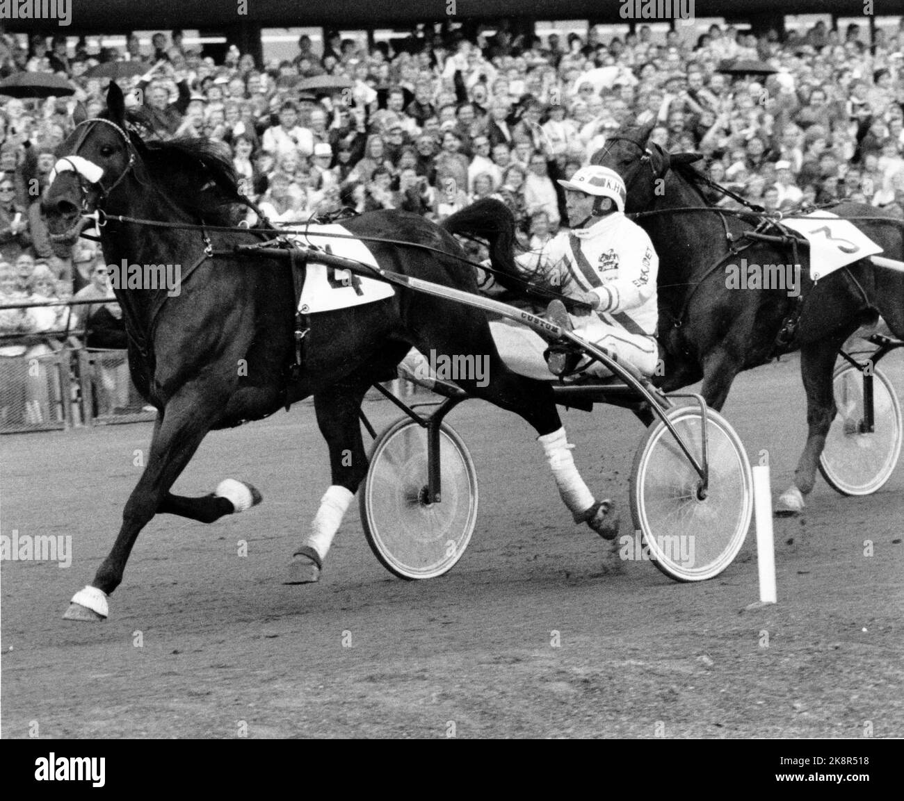 Grand rex Black and White Stock Photos & Images - Alamy