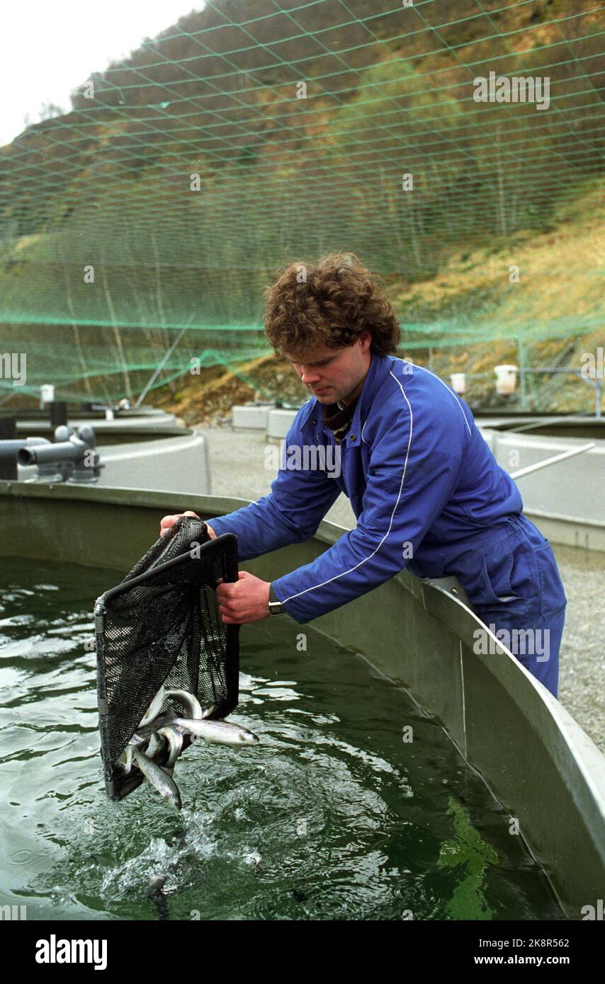 Sunnmøre. Fish farming. Aquaculture facilities. The salmon farming ...