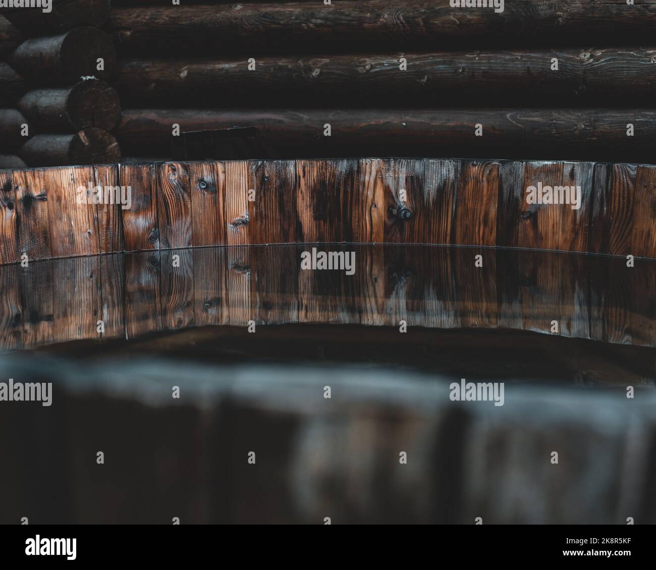 A closeup shot of wooden branches over a lake with its reflection on ...
