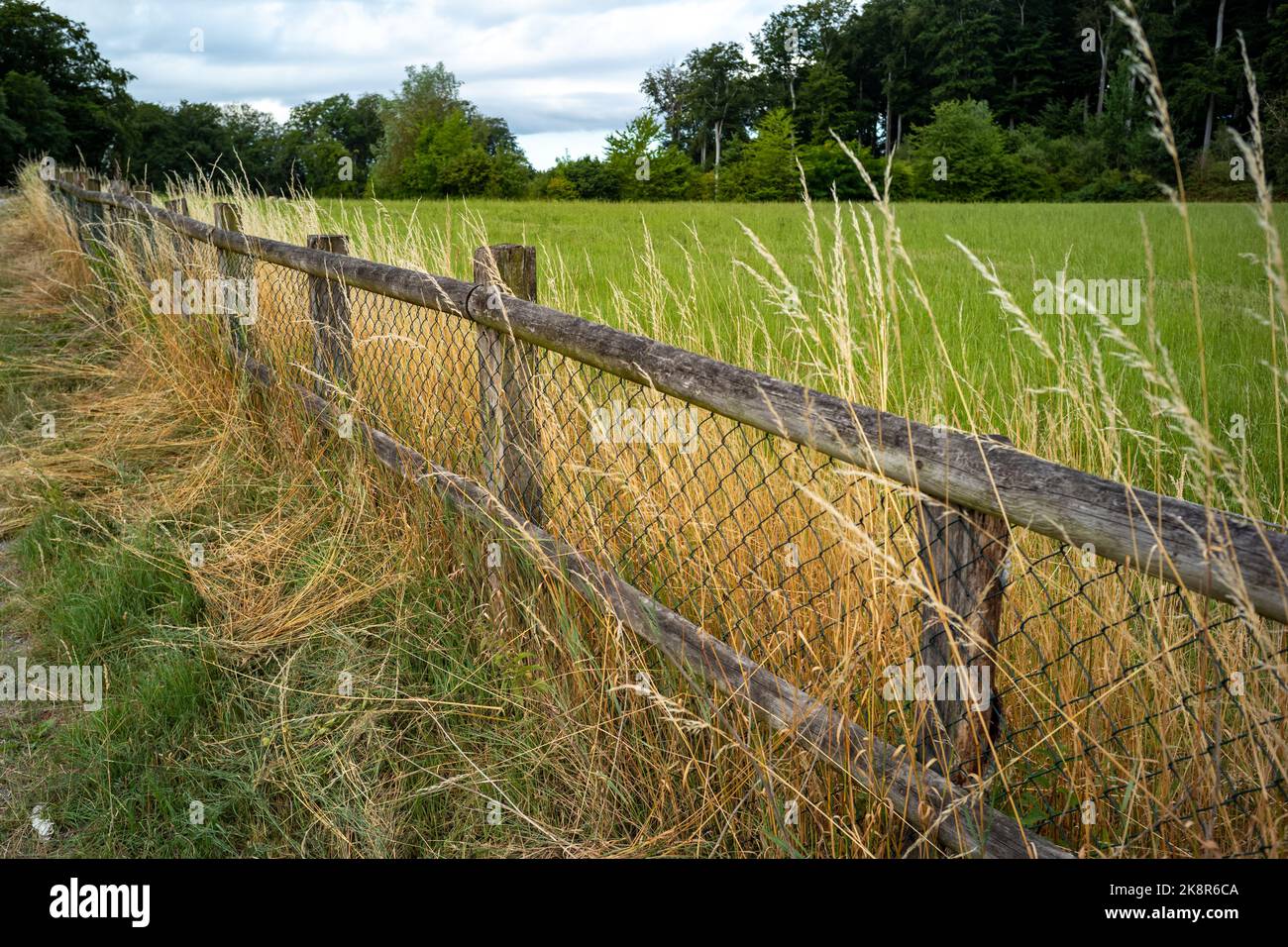 A fence separates the wild grass from the green lawn field before the ...