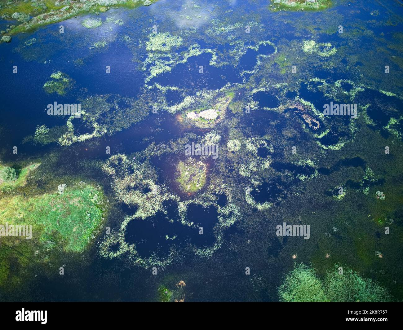 An aerial view of algae covered lake - water fungus creates a blue and ...